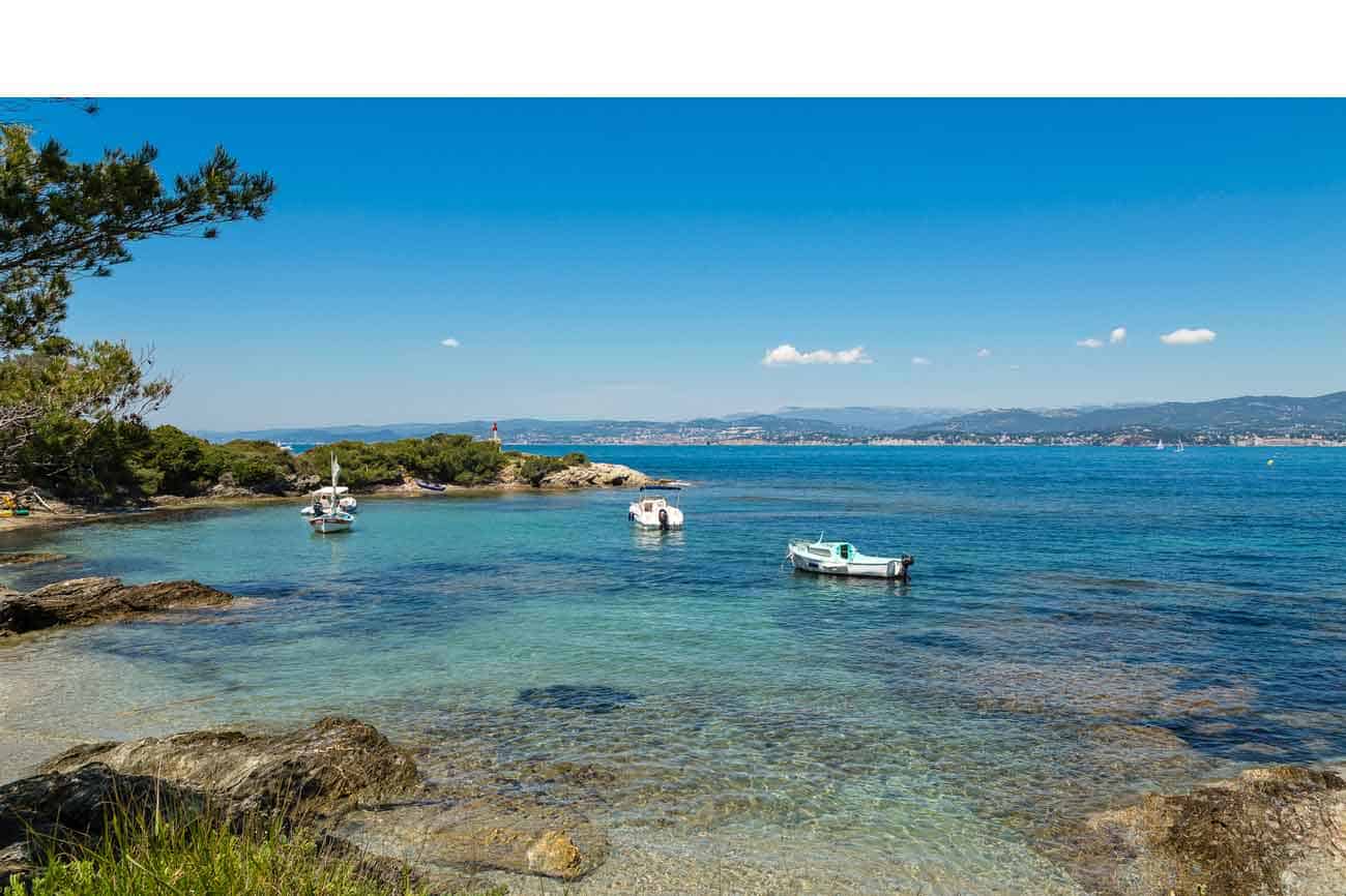Visite guidée de l'Ile des Embiez - Le Var et Vous